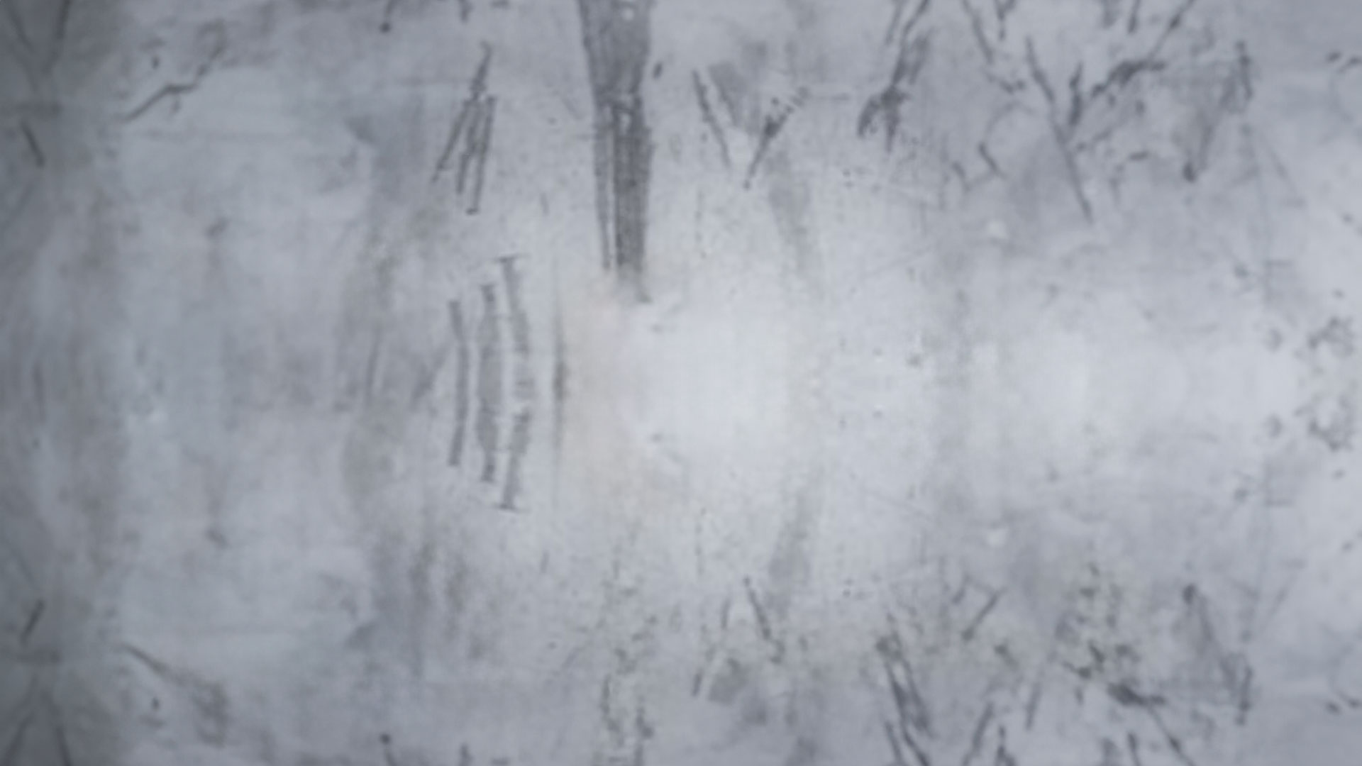 United Food Service | United We Stand With Our Customers